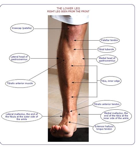 Vivian Grisogono About The Shin