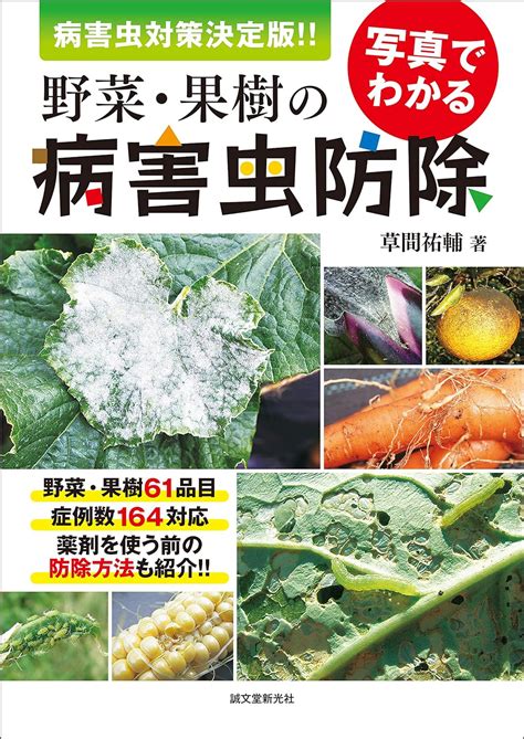 Amazon Co Jp Kindle