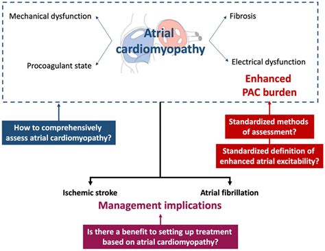 Premature Atrial Complex