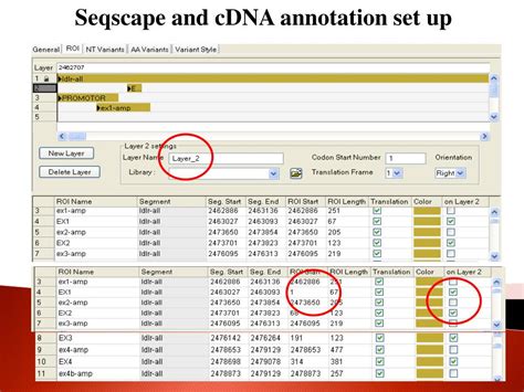 Ppt Software Programs For Sequence Variant Detection And Interpretation Powerpoint