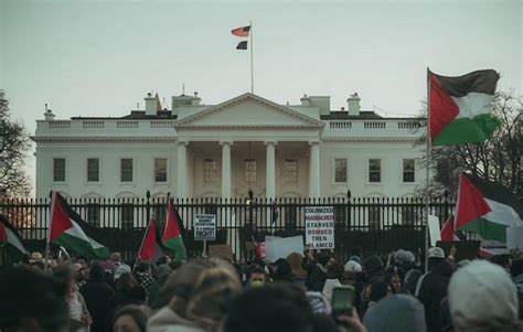 Fadi Abughoush On Linkedin Freepalestine Ceasefirenow Gaza