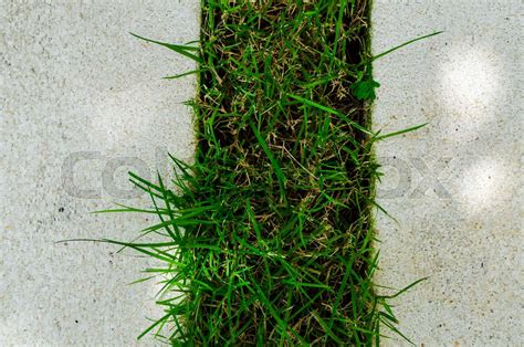 Background Of Garden Paths Of Different Texture Stock Image Colourbox