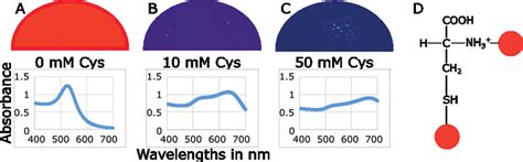 Absorption Spectra Of Gold Nanoparticles Dispersed A And Aggregated