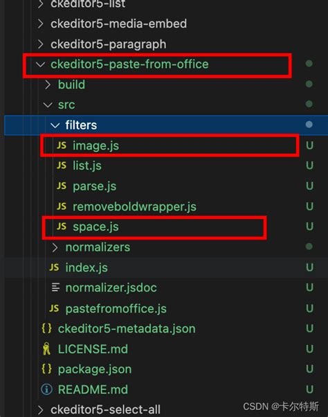 Ckeditor5 支持 Wps 贴贴文字图片，默认贴贴进入空白空格 源码巴士