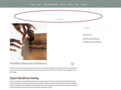 Ethos Portfolio Page Title Missing Support Themeco Forum