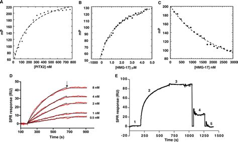 Binding Isotherms And Surface Plasmon Resonance Spr Analysis Of