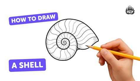 How To Draw A Shell Structure