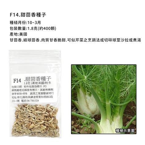 【蔬菜之家滿額免運】香辛類種子系列各包裝數量詳見內文及圖片說明九層塔 芹菜 芫荽 香菜 山芹菜 紫蘇 根芹菜 西洋芹 蝦皮購物
