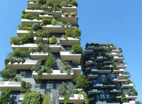 Ectophylla Alba Honduran White Bat Enviropreneur