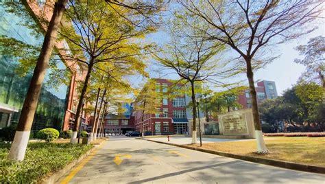 Wang Lab In Guangzhou