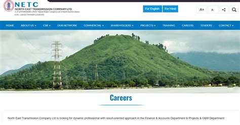 Netc Opportunities 2025 Apply For Engineering And Finance Roles In Delhi And Northeast