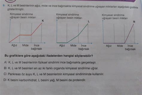 K L Ve M Besinlerinin A Z Mide Ve Ince Ba Rsakta Kimyasal