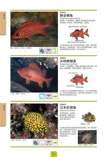 海洋生物大全百科 图库 五毛网