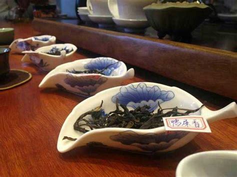 尋訪潮州鳳凰單叢茶 每日頭條