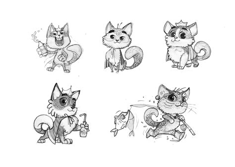 Cat Poses Assert Infotech