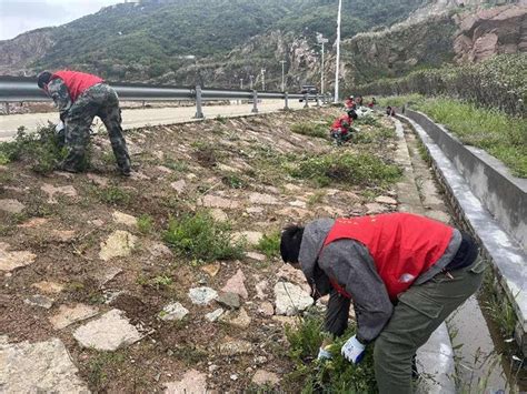 黄龙乡开展“道路整容师，春日除草忙”专项行动 嵊泗新闻网