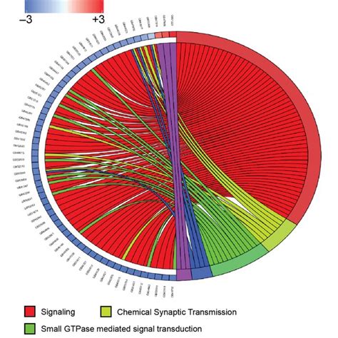 chord plot comparing the expression levels of selected genes and their