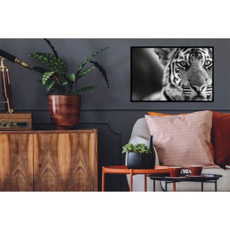 MuchoWow Poster encadré Tigre louveteau noir blanc Tableau deco avec cadre x cm