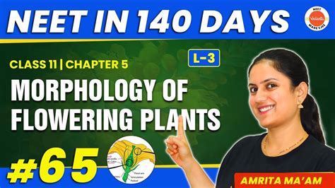 Morphology Of Flowering Plants L3 NEET Biology NEET In 140 Days
