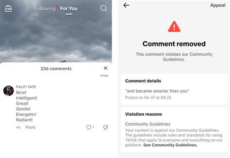 Community Guidelines Violation Rtiktok