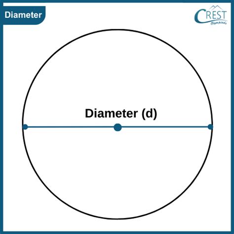 Classification Of Triangles Circles Quadrilaterals