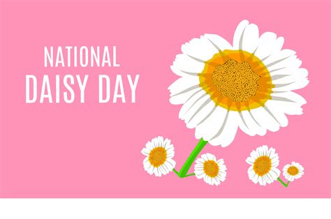 Vector Graphic Of National Daisy Day For National Day Celebration Flat