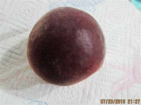 不可錯過的黑貨——黑紅甜蜜的黑桃皇后 每日頭條