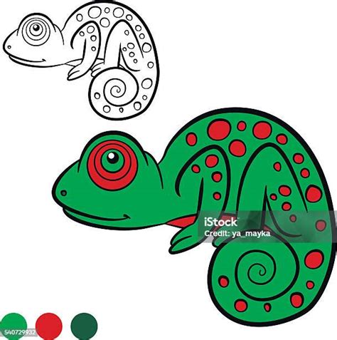 색칠놀이 페이지 나 색상 카멜레온 리틀 귀여운 초록색입니다 카멜레온 검은색에 대한 스톡 벡터 아트 및 기타 이미지 검은색