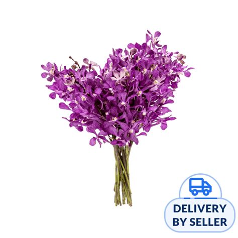 Jm Flower Orchid Mokara Xxl Purple Ntuc Fairprice
