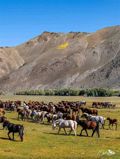 Баянхонгор аймгийн нэгдсэн зар