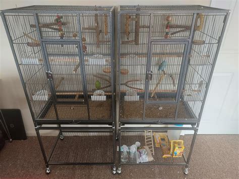 New Double Cage Setup Rparrotlet