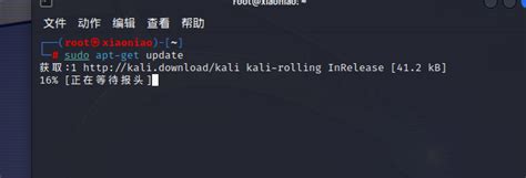 kali虚拟机联网失败或暂时不能解析域名 虚拟机域名解析暂时失效 csdn博客