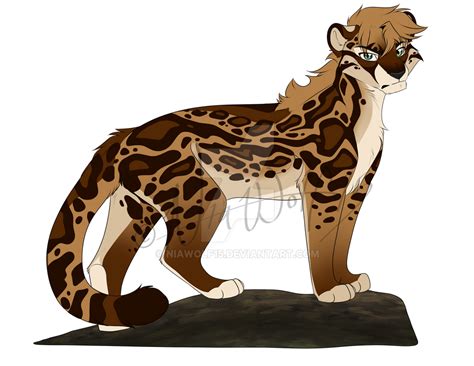 Ocelot Leopard Feline Adopt Closed By Niawolf15 On Deviantart