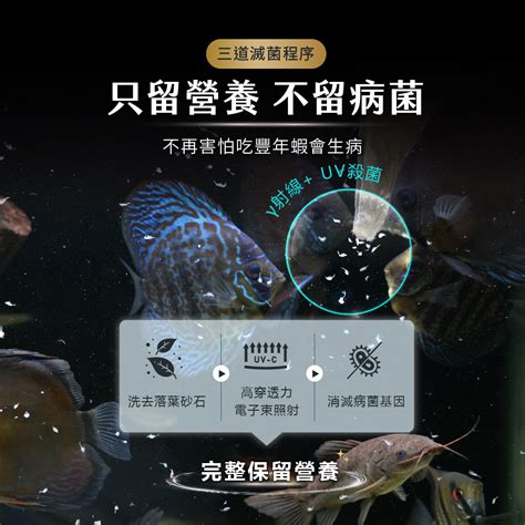 角落水族 營養補充豐年蝦 2入餵食體驗組 金魚 神仙 七彩 豐年蝦磚 冷凍豐年蝦 蝦皮購物