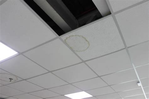 Análise de Infiltrações e Vazamentos Cahara Engenharia
