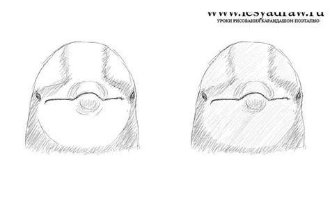 როგორ დავხატოთ დელფინი ყველაფერი ტატუების შესახებ