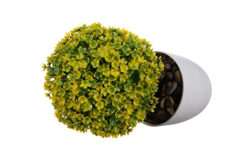 Premium Photo Artificial Tree In A Pot Isolated On White Background