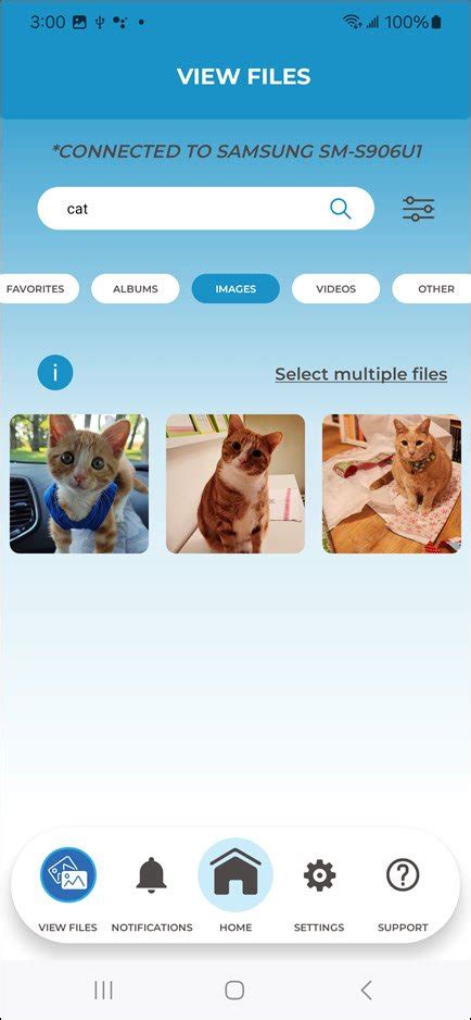 Searching Filtering And Sorting Files ThePhotoStick Omni