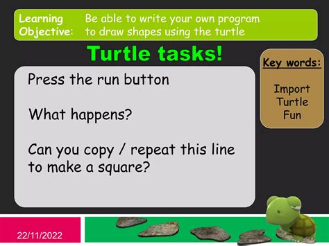 Lesson1pythonturtlepptx Reptiles Pets