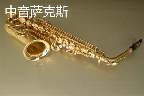 中音萨克斯和次中音萨克斯区别 艺考网