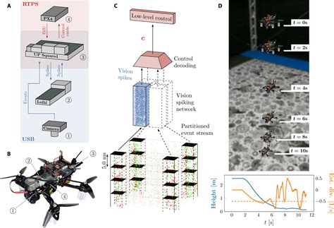 Fully Neuromorphic Vision And Control For Autonomous Drone Flight Science Robotics
