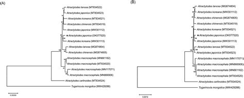 Complete Chloroplast Genome Of Atractylodes Japonica Native To The Korean Peninsula And