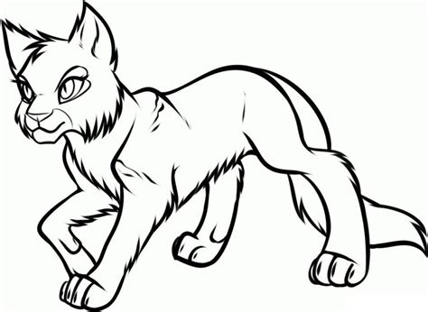 Рисунки Коты Воители для срисовки