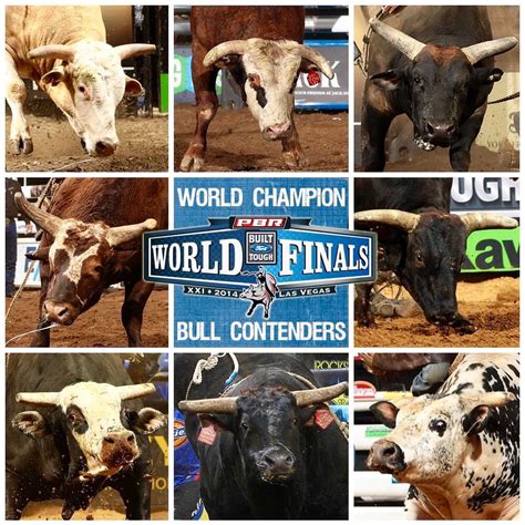 Pin On Pbr Bucking Bulls
