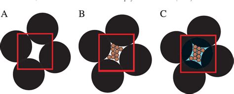Figure 3 From Macromolecular Crowding Qualitative And Semiquantitative Successes Quantitative