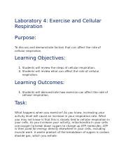 Lab Cellular Respiration Docx Laboratory Exercise And Cellular Respiration Purpose To