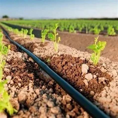 Mangueira Tubo Irrigaçao 58 Polegadas Lisa Flexivel 50 Metros Rigida Reforçada Obra Construçao