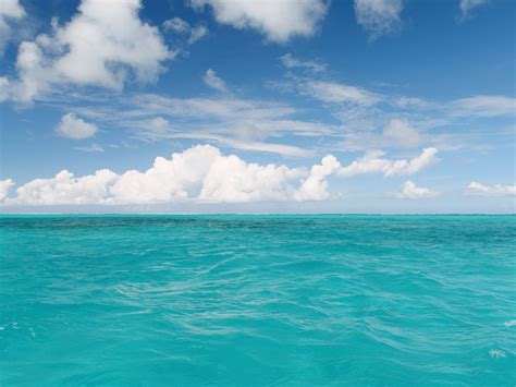 Natural History Of Oceans IILSS International Institute For Law Of