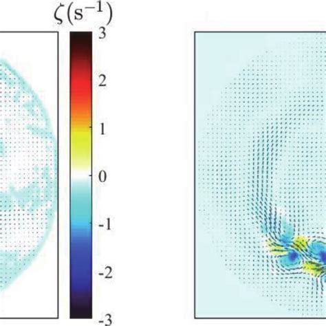Instantaneous Fields Of Vorticity Field ζ Left And Okubo Weiss