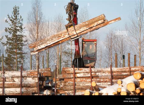 Log Truck Driver Using Truck Crane And Loading Logs To Cargo Log Train